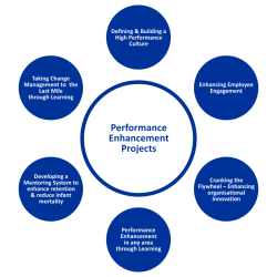 Performance Enhancement Programs - mentor